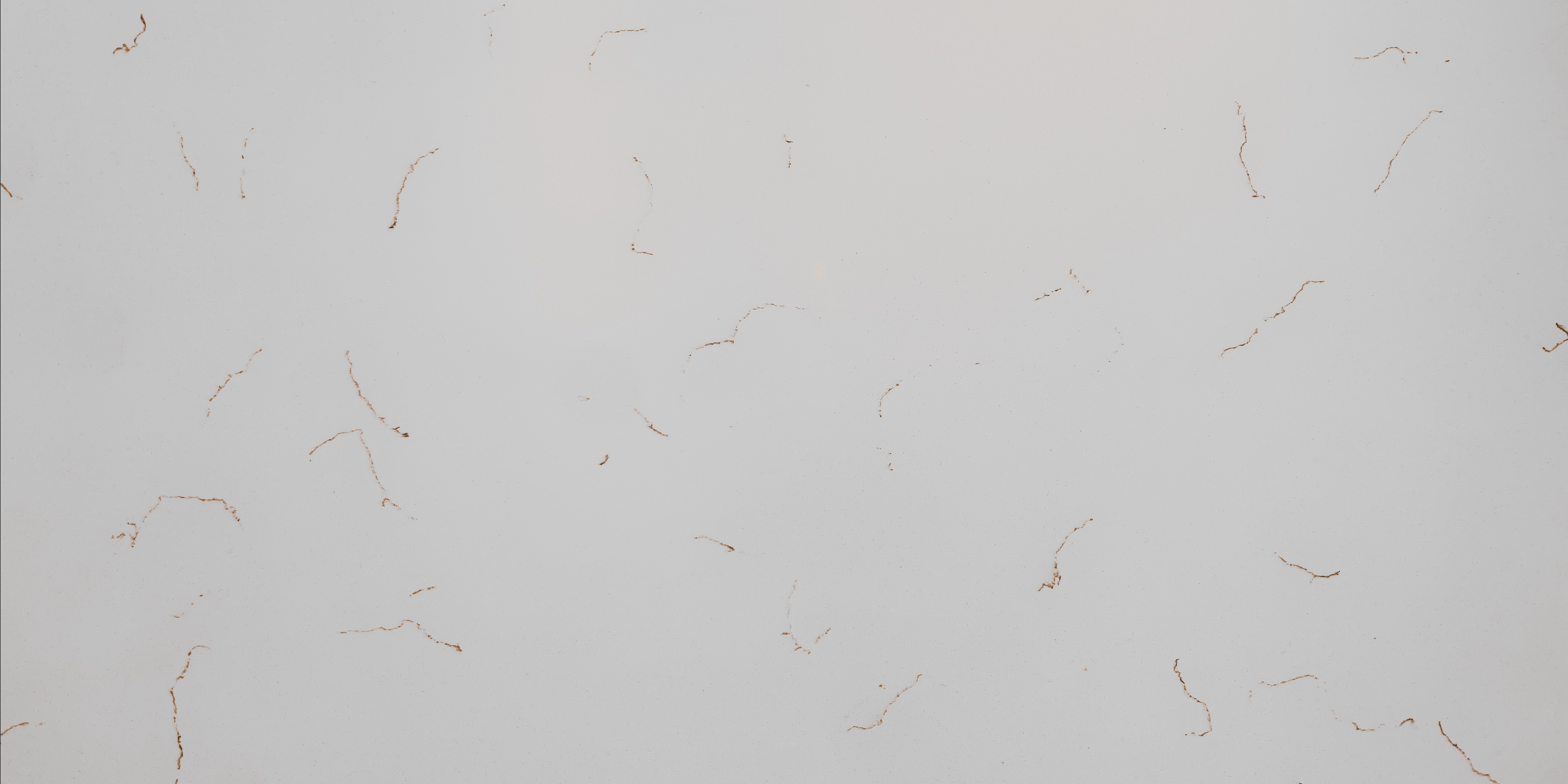 Carrara Gold Carrara Gold